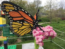 What to do this weekend... - Amy Coburn